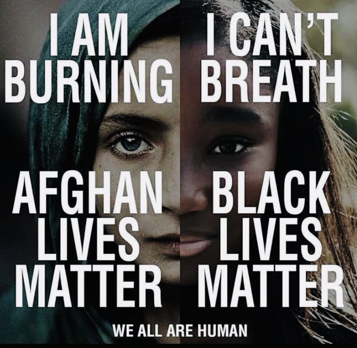 Taqi Ehsani (@Taqi_Ehsani) | Twitter