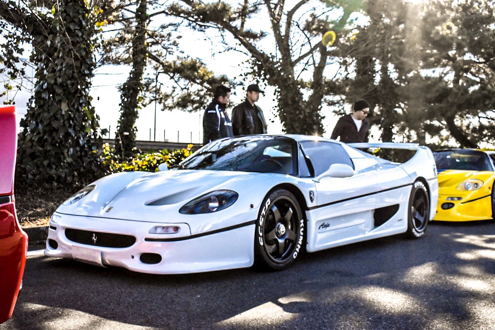Ferrari F50 White