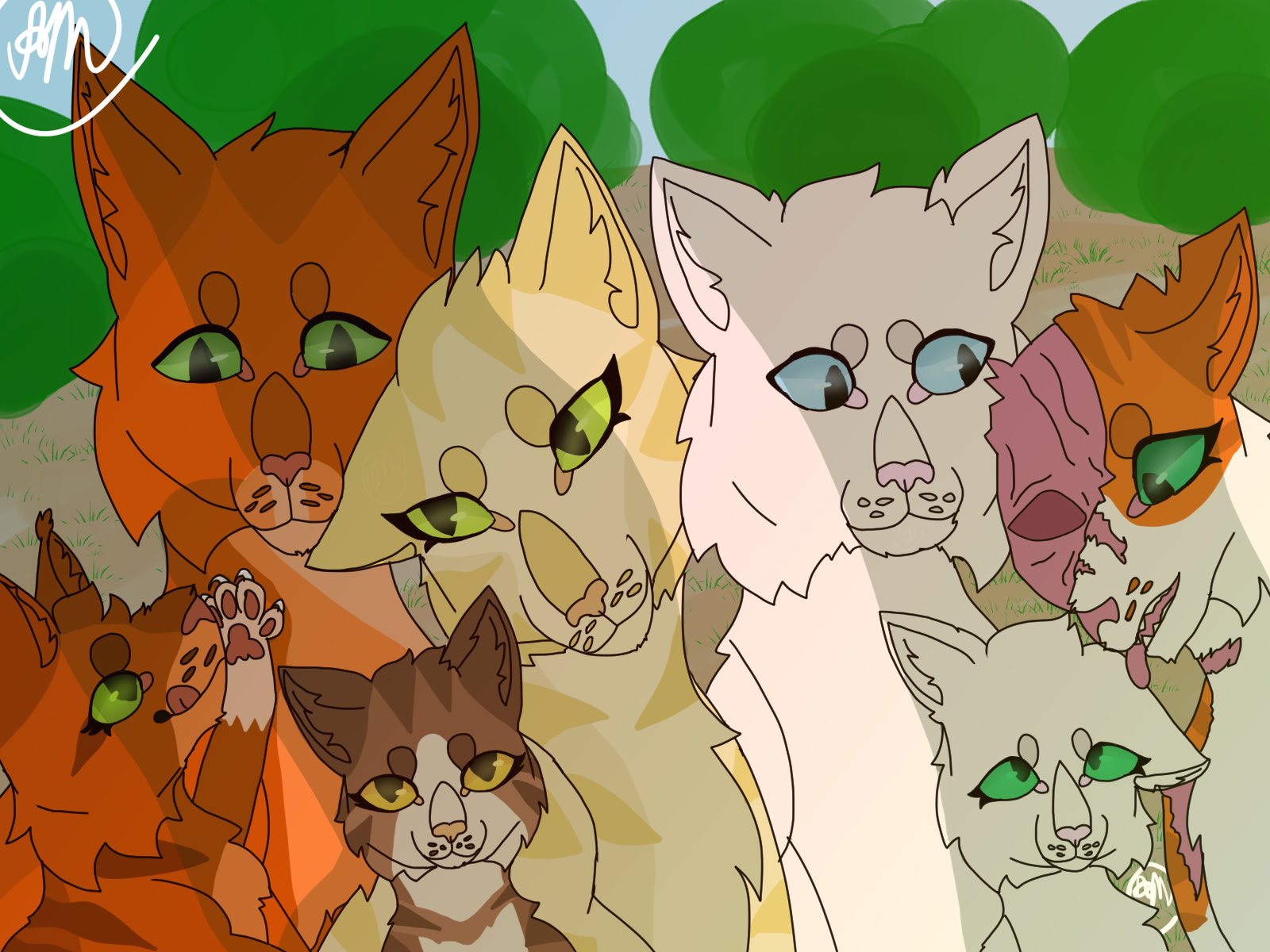 Warrior Cats Wallpaper Firestar And Sandstorm