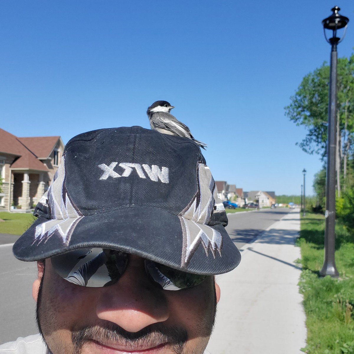 greg gomes (@Ggregg007Greg) | Twitter