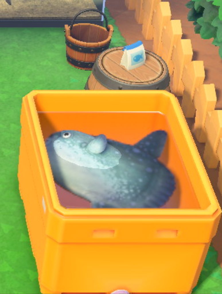 Ocean Sunfish Animal Crossing