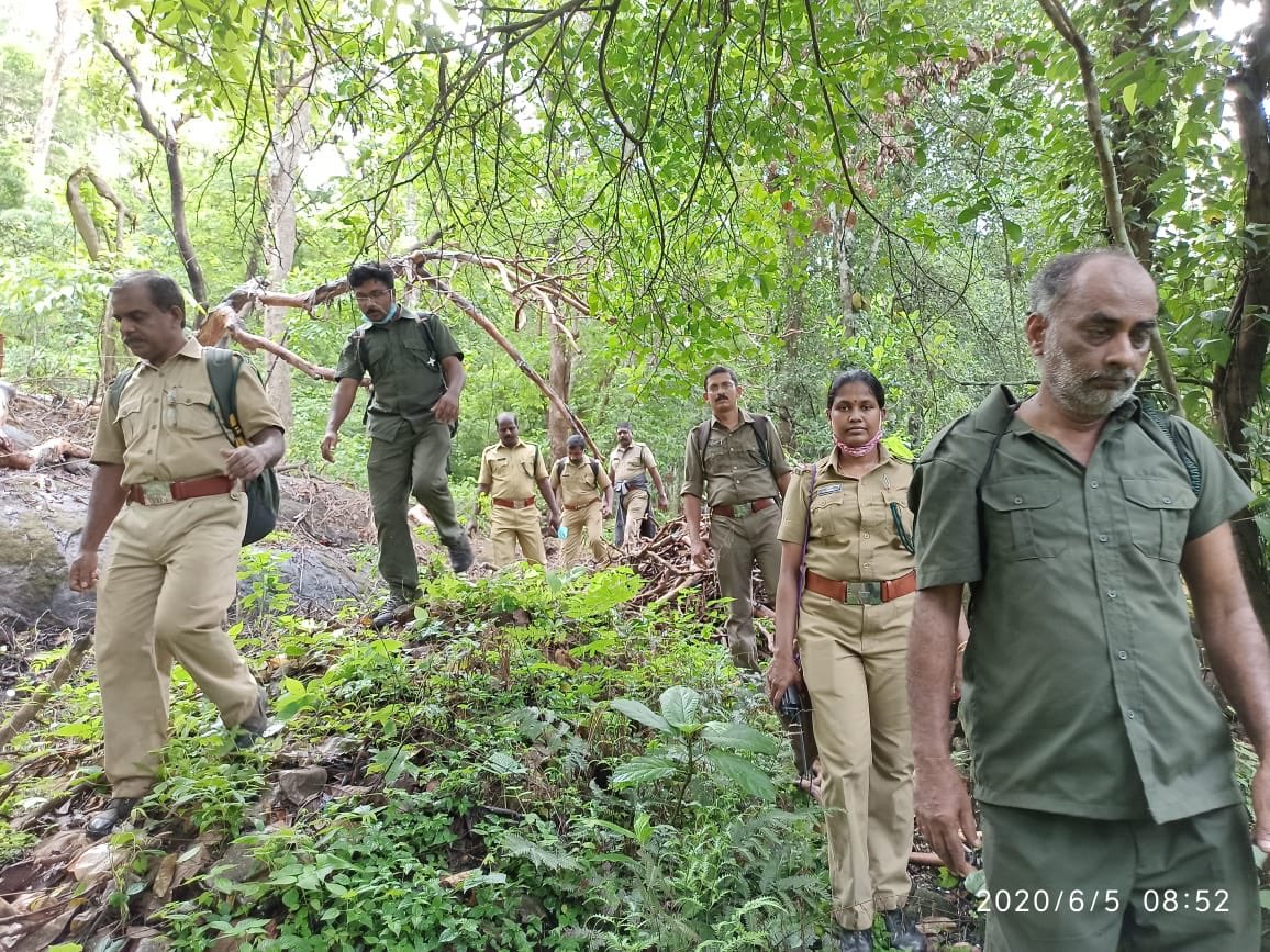 Kerala Forest Department