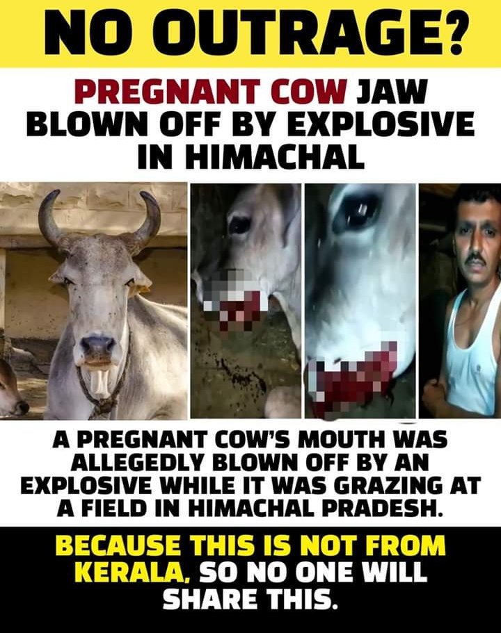 Devendra Bansal (@Devendr43395689) | Twitter