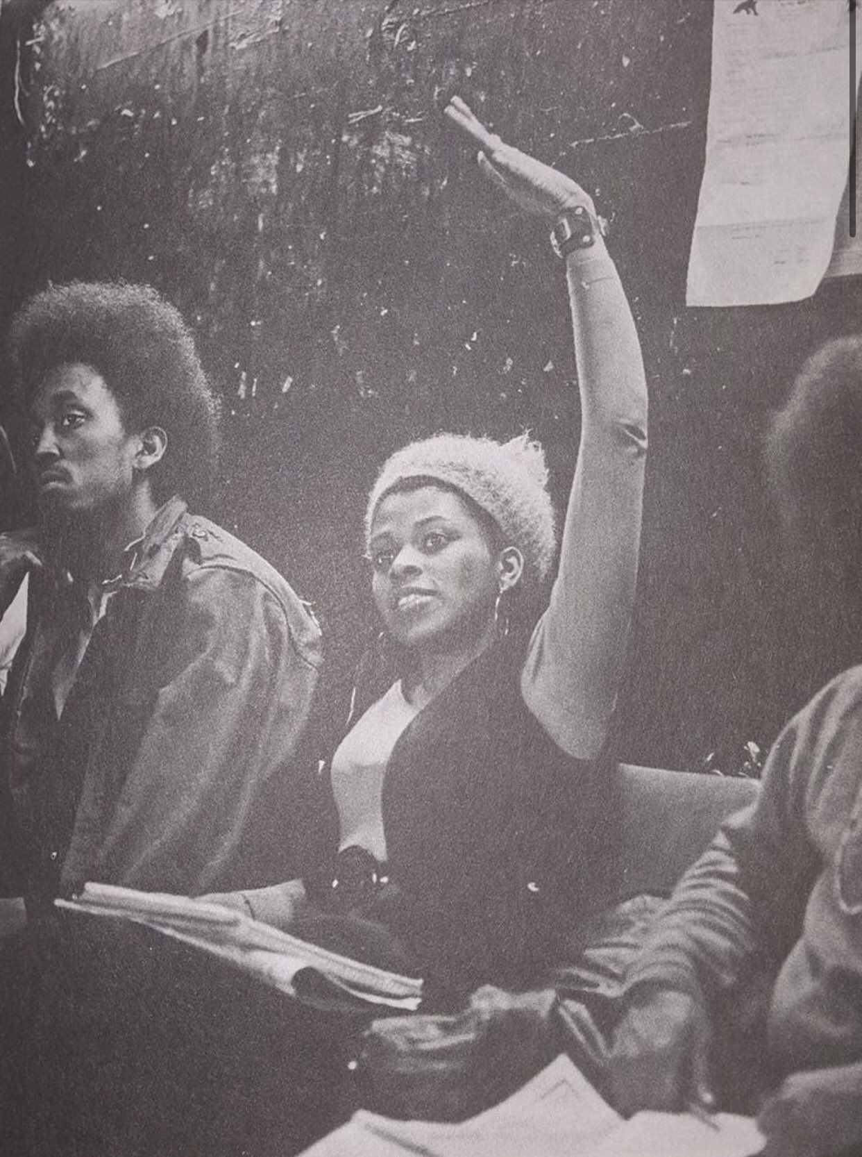 Assata Shakur Black Panther