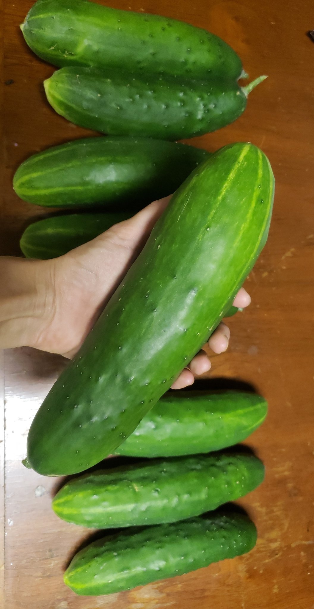 Tw Pornstars Holi Hurricane Twitter You Wish You Had One This Big