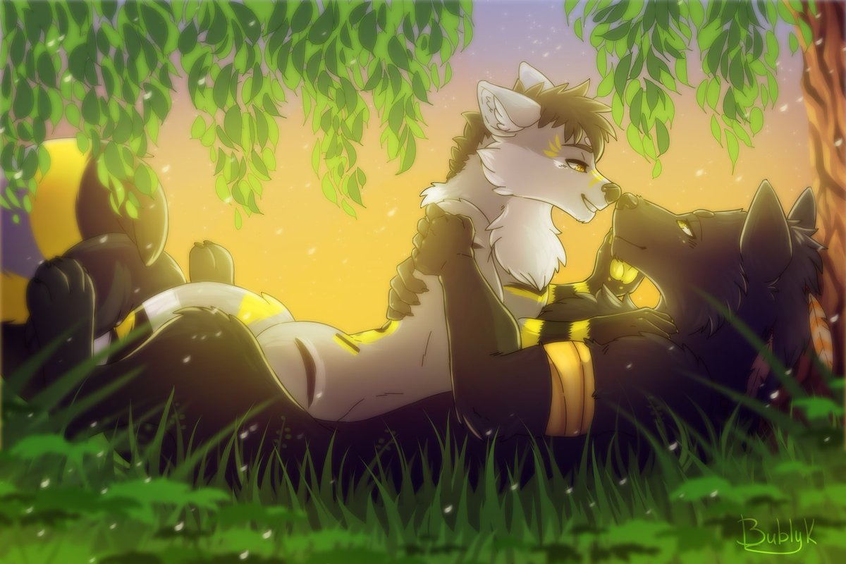 Wolf Furries In Love