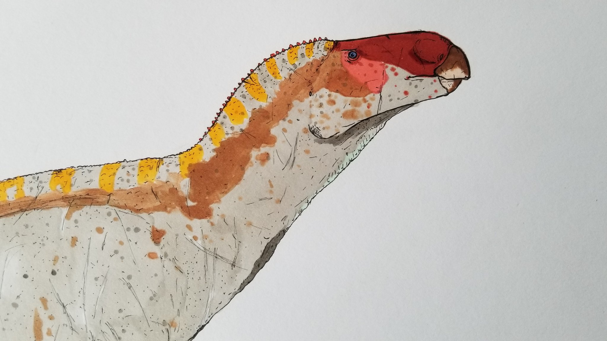 Michael English on Twitter: "Iguanodon, now in colour! This herbivore ...