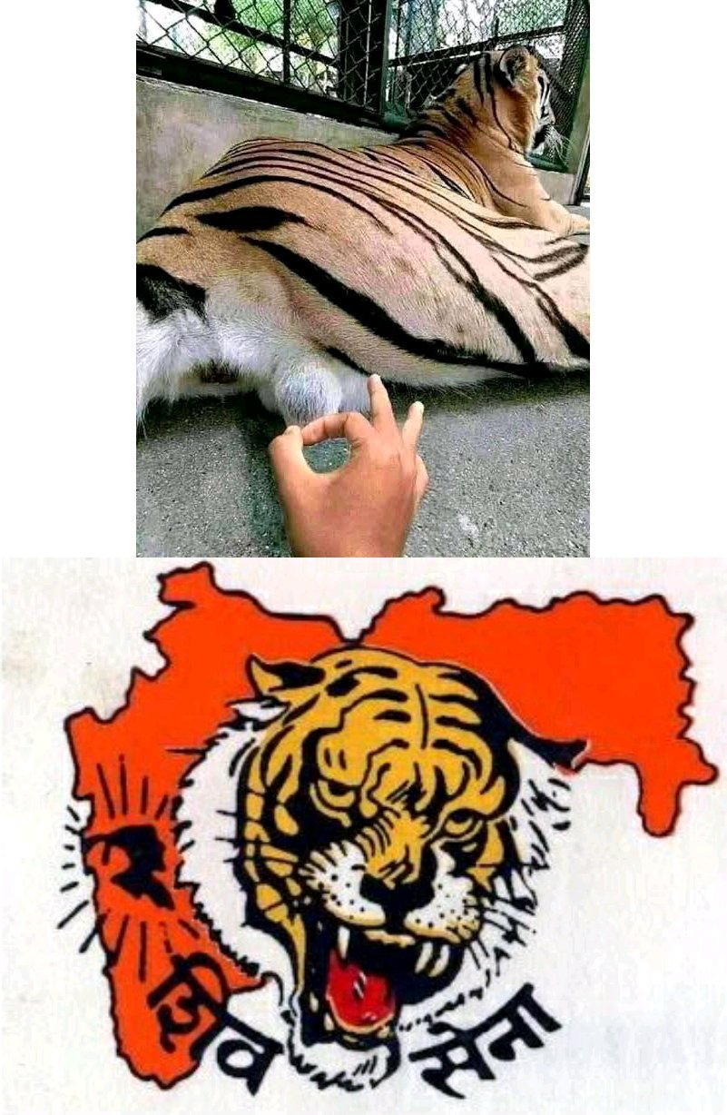 Shiv Sena Tiger Symbol