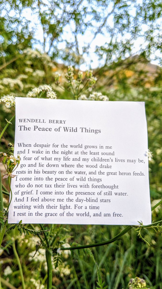 ViewMaster, Ryan Van Winkle and Dan Gorman | Made in Scotland Showcase