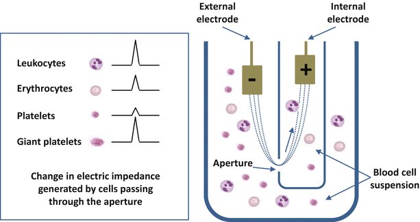 اليوم موضوعنا عن : مبدأ عمل أجهزة CBC (principle of CBC in automated ...