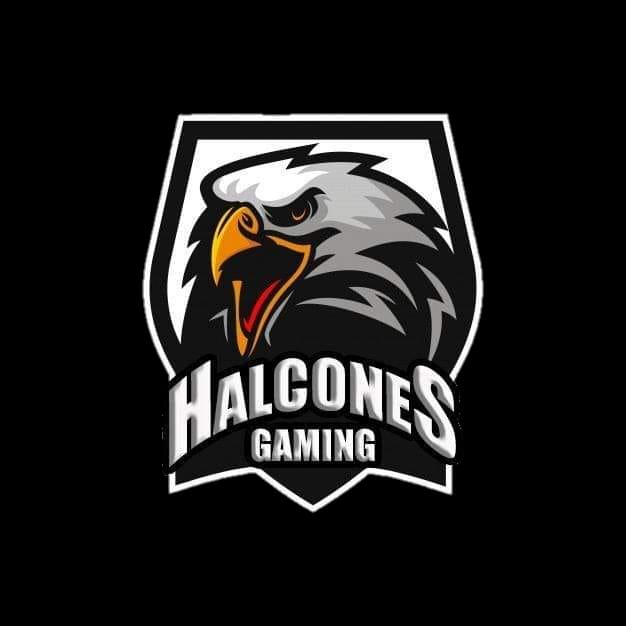 Nuevo Logo De Los Halcones Halcones Estrena Una Moderna Versión De Su