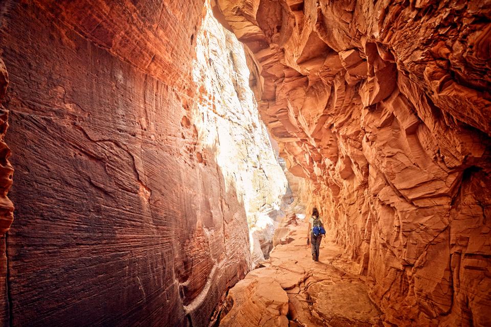 More than 100 years old, Zion sits in the southwestern corner of Utah ...