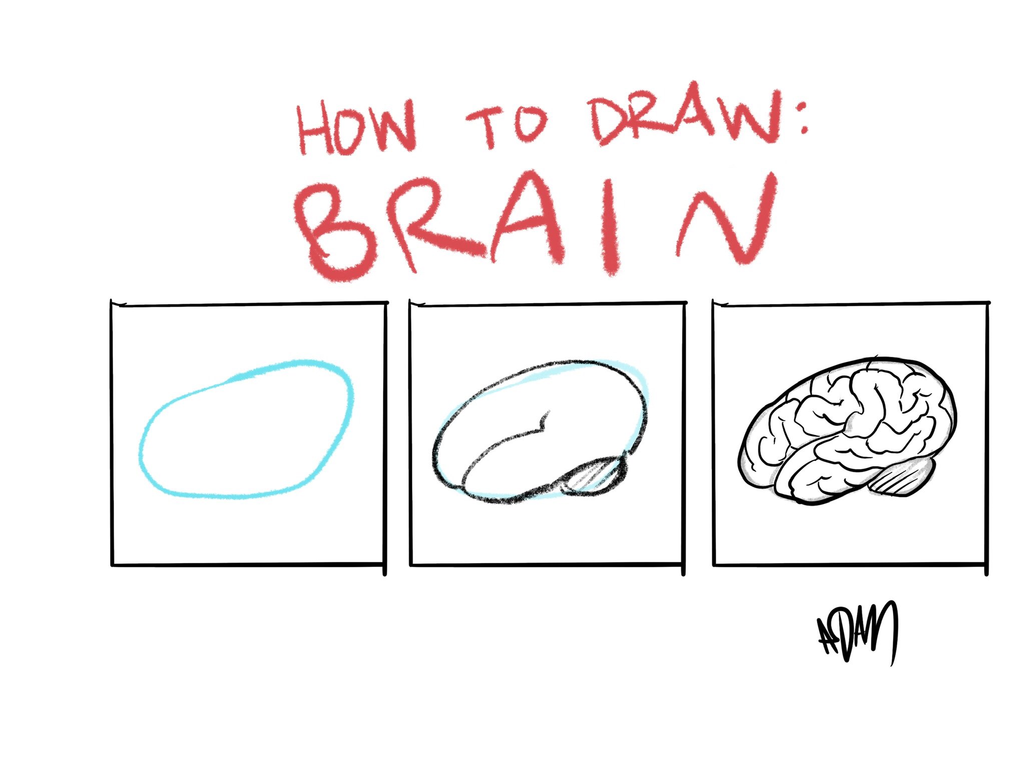 Brain Drawing Simple