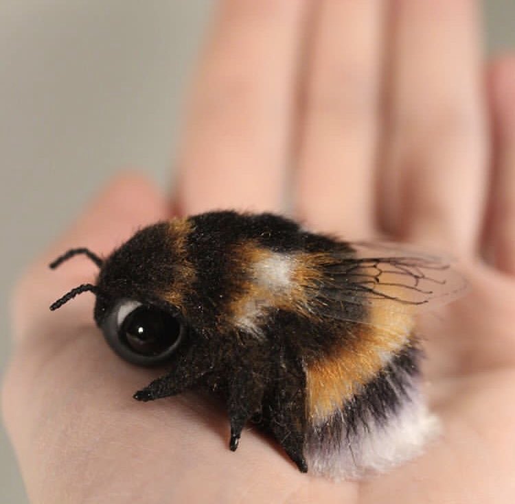 Cute Fuzzy Bee