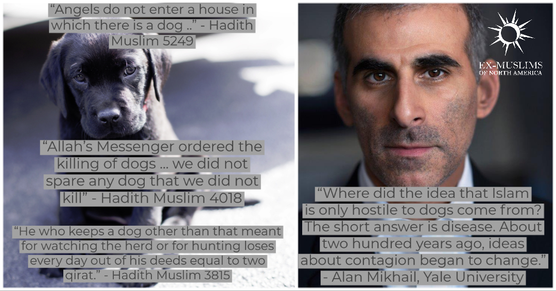 Are Dogs Allowed In Islam