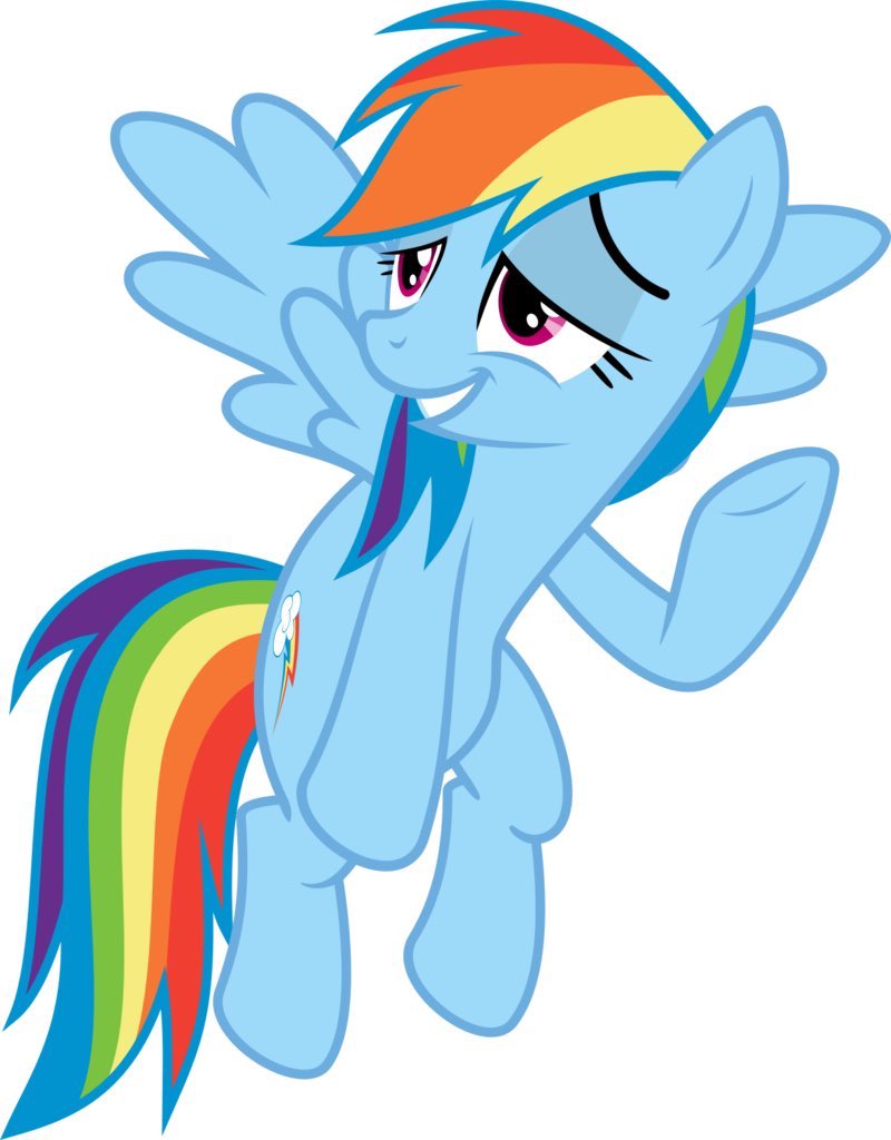 Shadow And Rainbow Dash