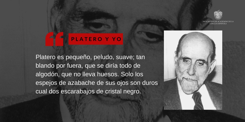 dotado, dotada | Definición | Diccionario de la lengua española | RAE ...