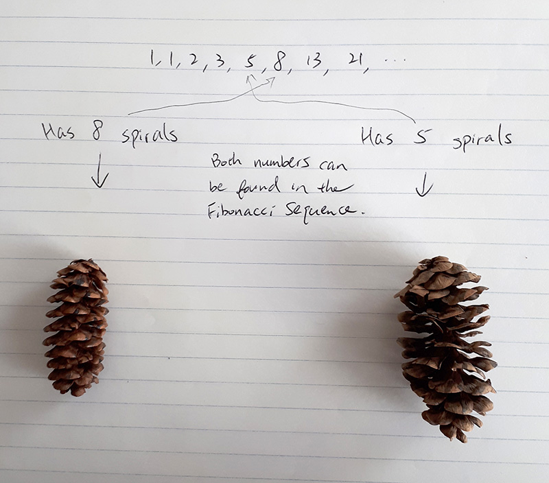 HDCH on Twitter: "Gr11 math students went outside to experience where # ...