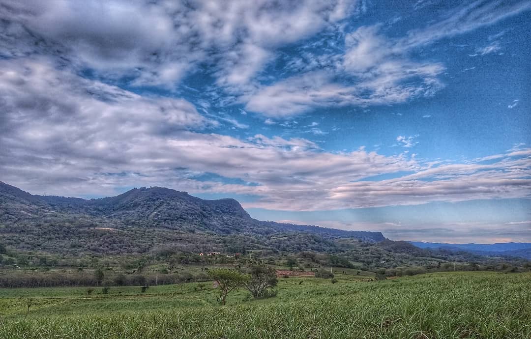 Grisel 🌸 (@Grisel_Mtnez) | Twitter