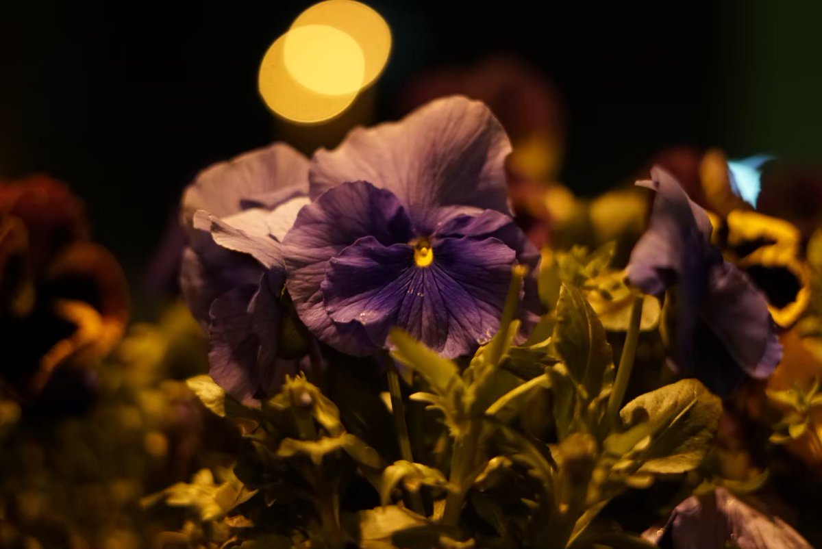 Pradit Chumnansil (@Dit_SMU) | Twitter