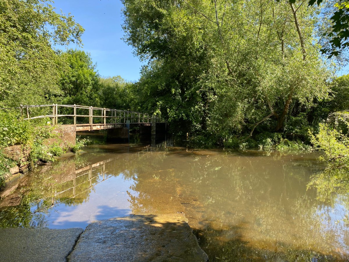 Wonderful walk at Eversley Plantation with a friend :) 29.05.2020 ...