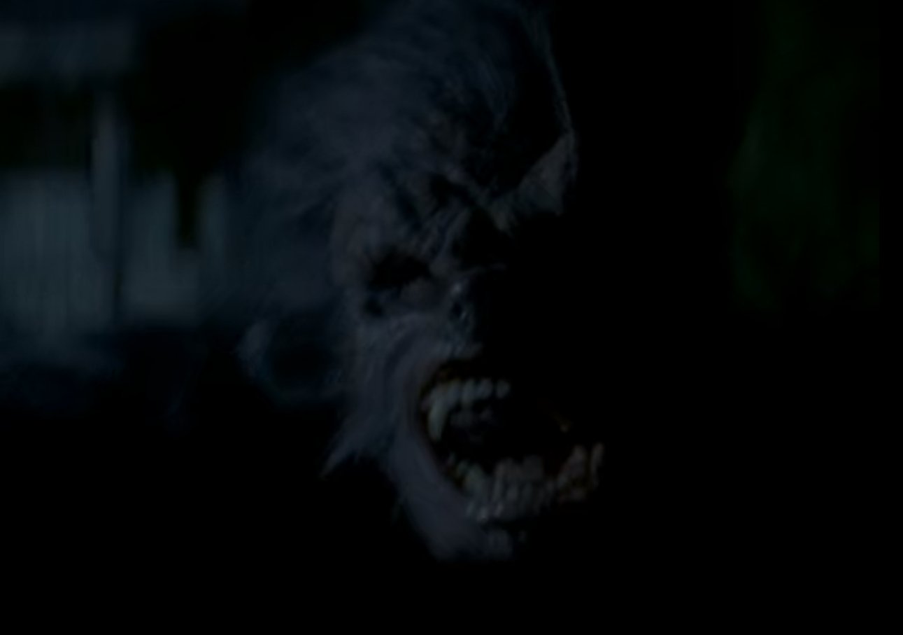 Goosebumps Werewolf Skin