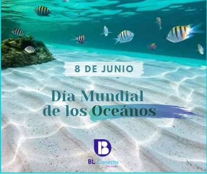 BL Conecta (@BlConecta) | Twitter