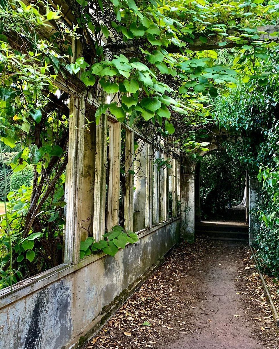 Ryan (@thru_ryans_lens) | Twitter