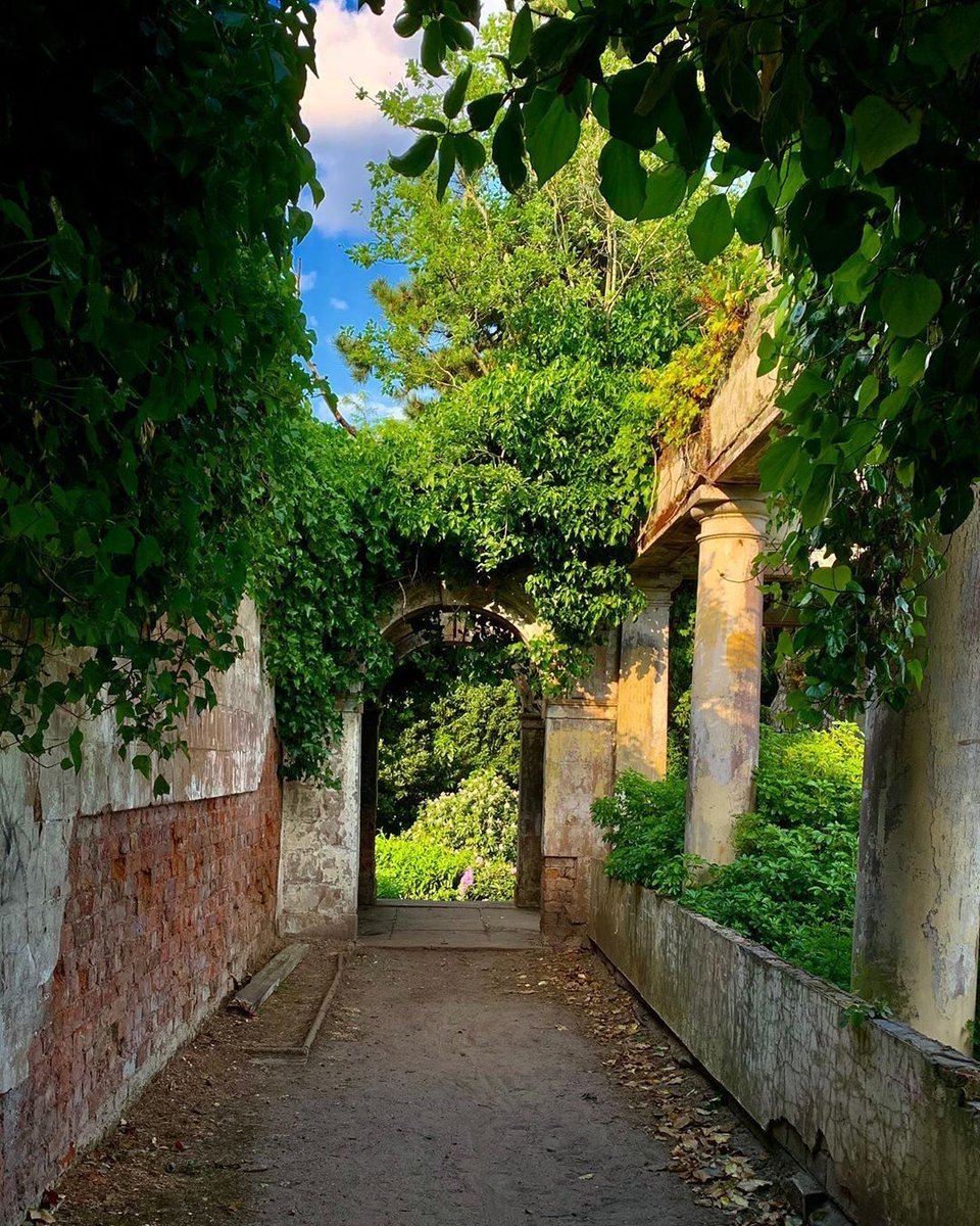 Ryan (@thru_ryans_lens) | Twitter