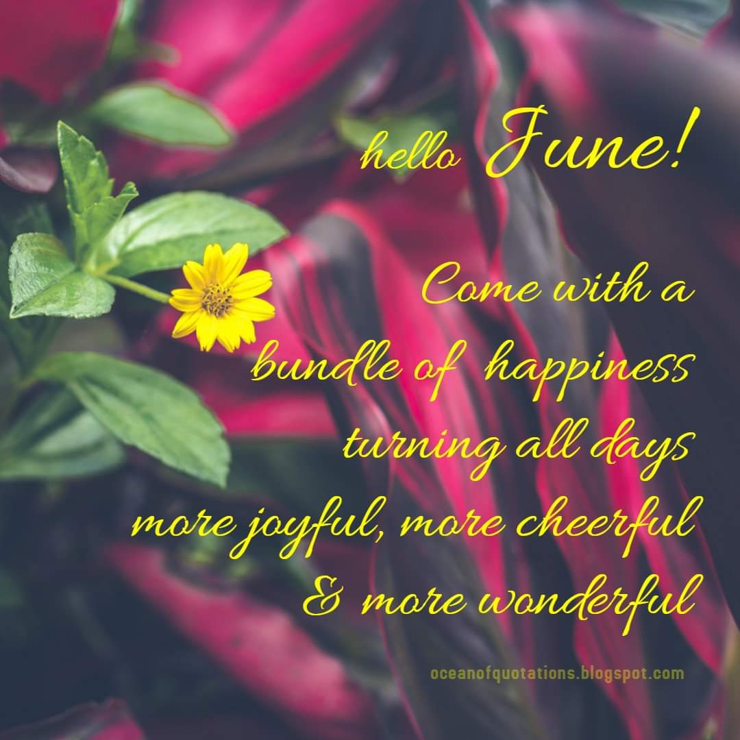 Hello June Quotes