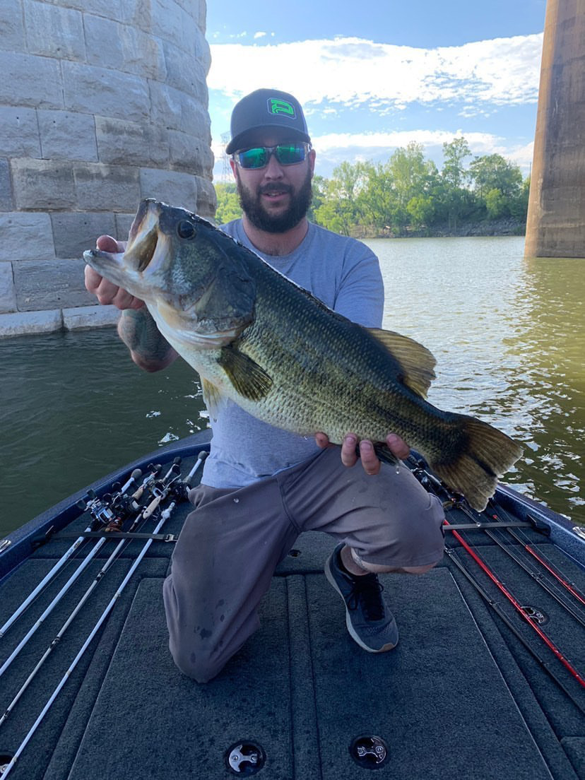 Nickajack Lake Bass Fishing at Rose Hutchinson blog