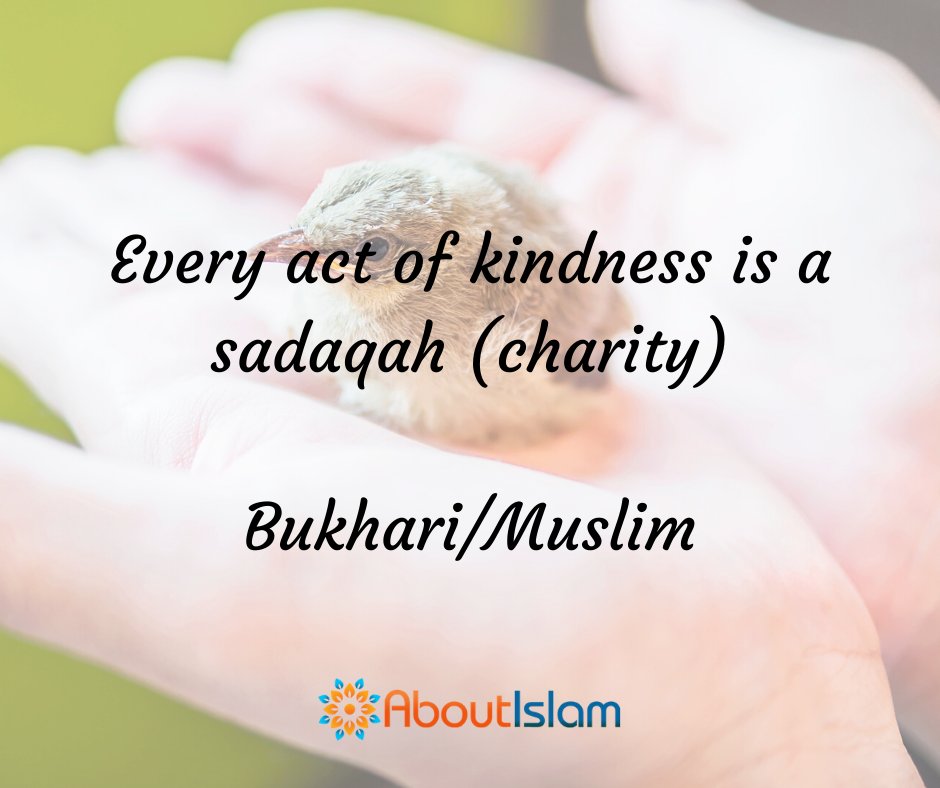 Islamic Charity Quotes