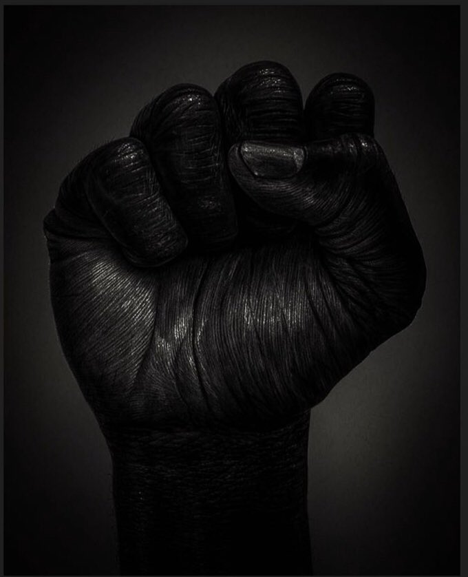 Kaleb McKelvey (@MckelveyKaleb) | Twitter