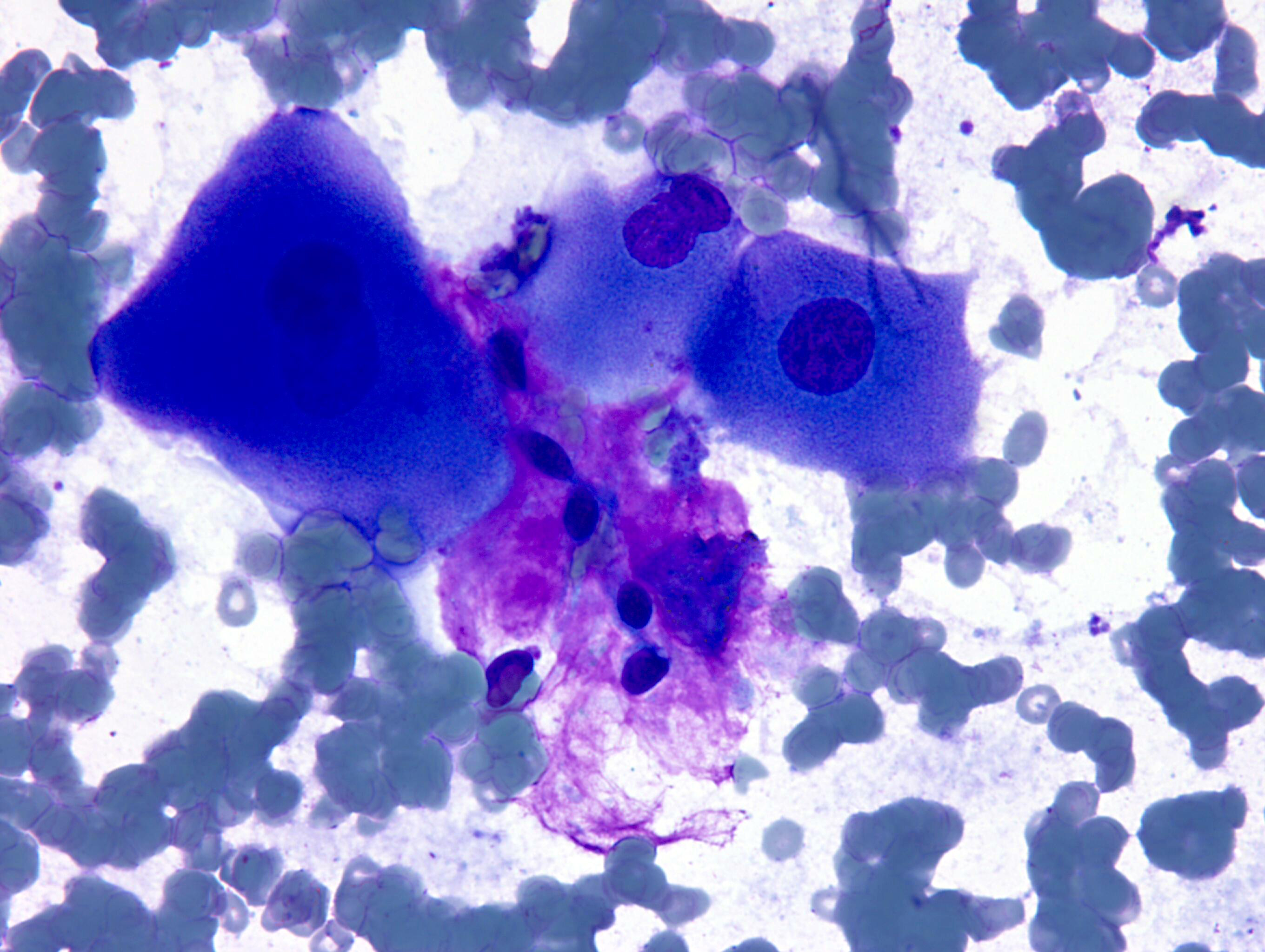 Weihua (Grace) Song (@GraceSong0820) / Twitter