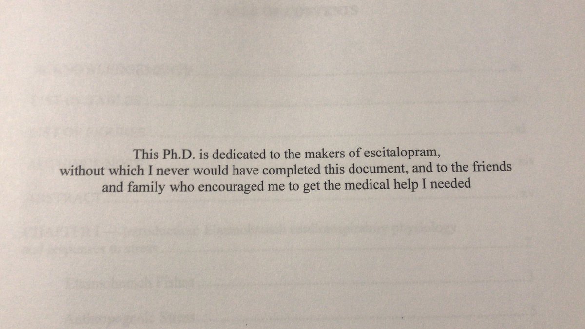 Resort Architecture Thesis Statement