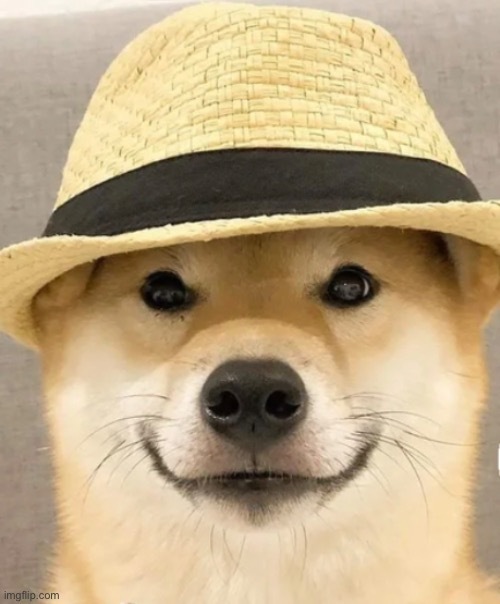Top Doge Hat