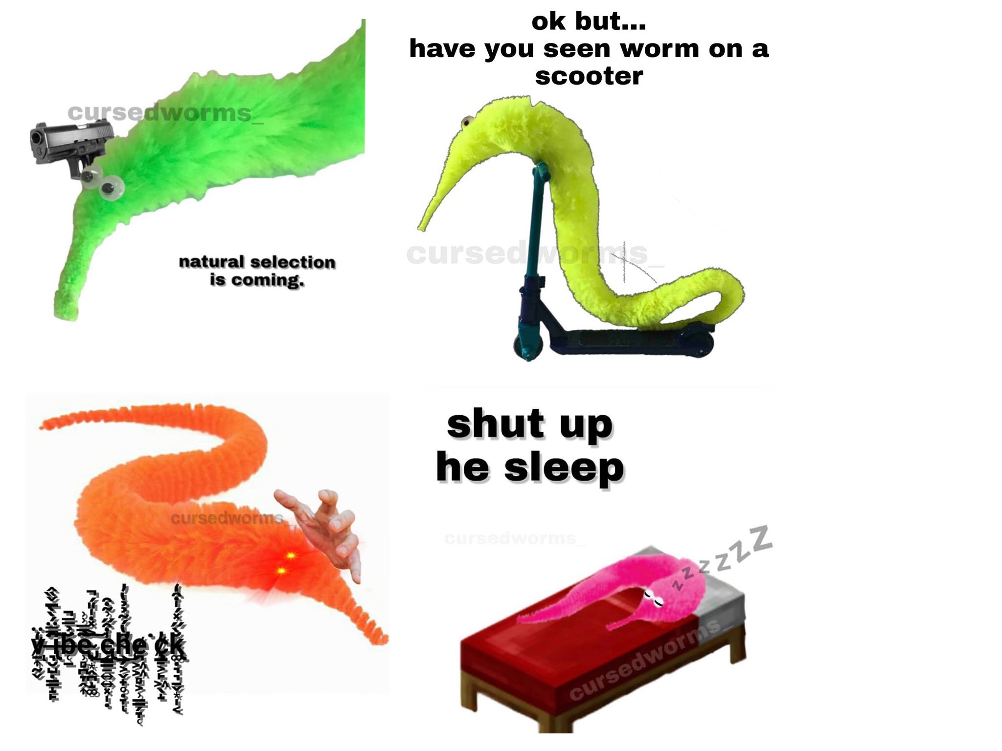 Memes Worm Meme's Worms 🎣 Ready To Up Your Fishing Game And Reel