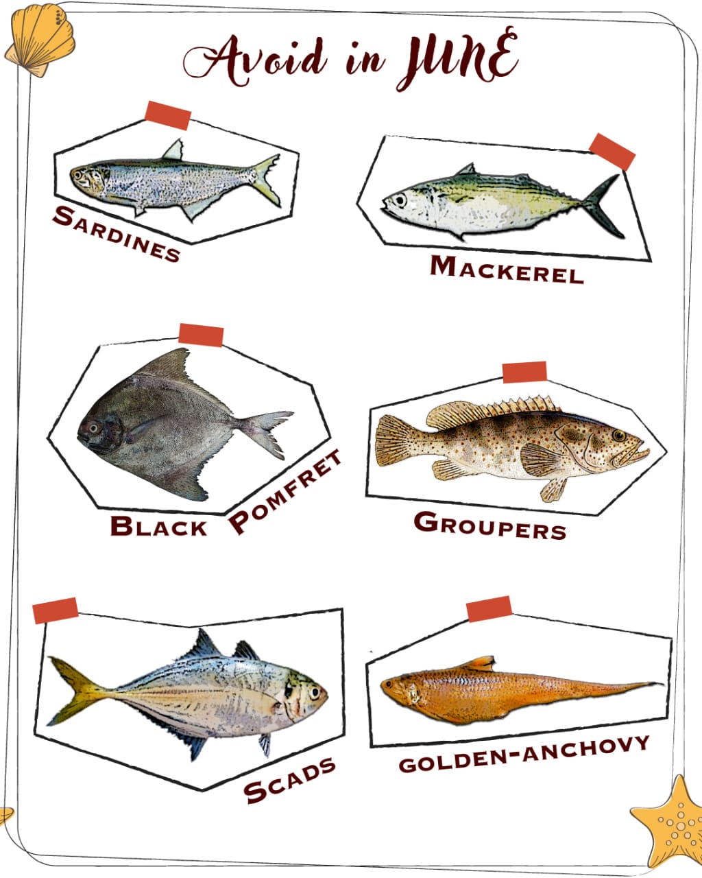 Names Of Fish To Eat