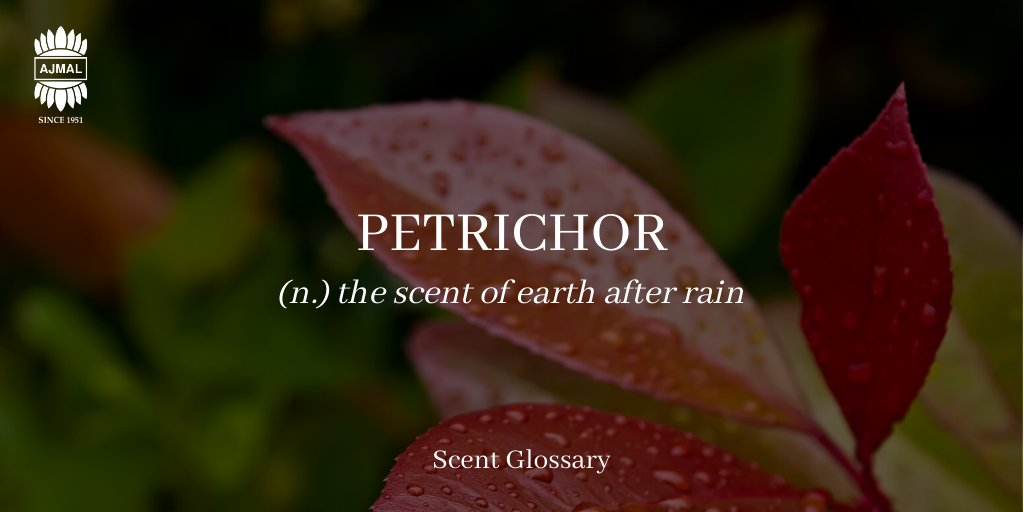 Ajmal India on Twitter: "The musty, barky smell of fresh rain fallen on ...