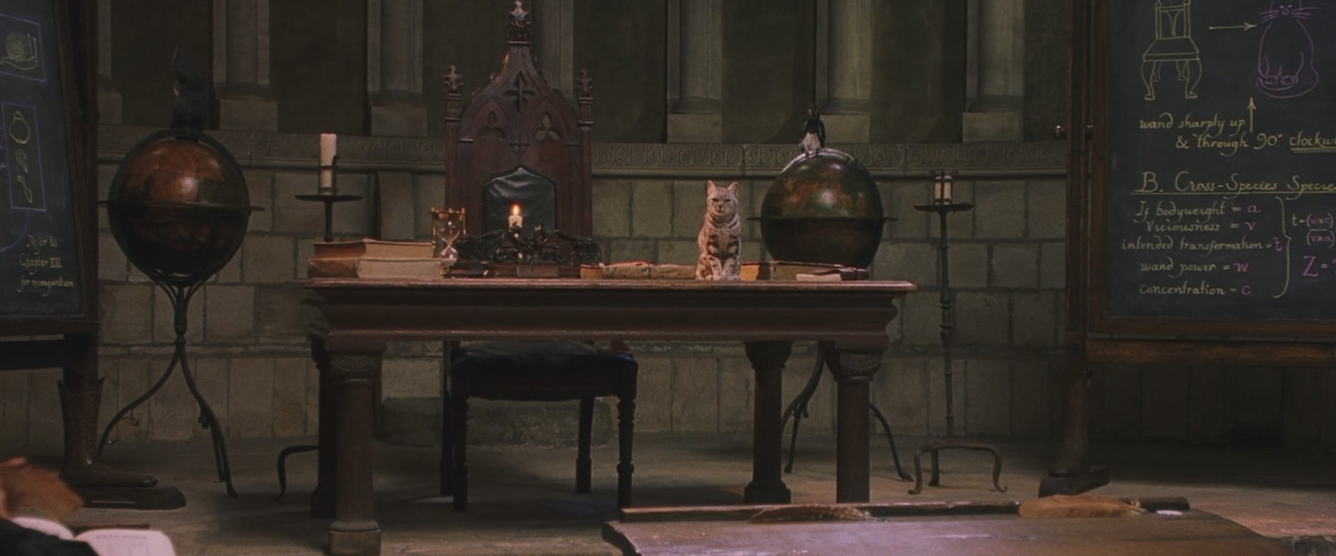 Professor Mcgonagall Cat