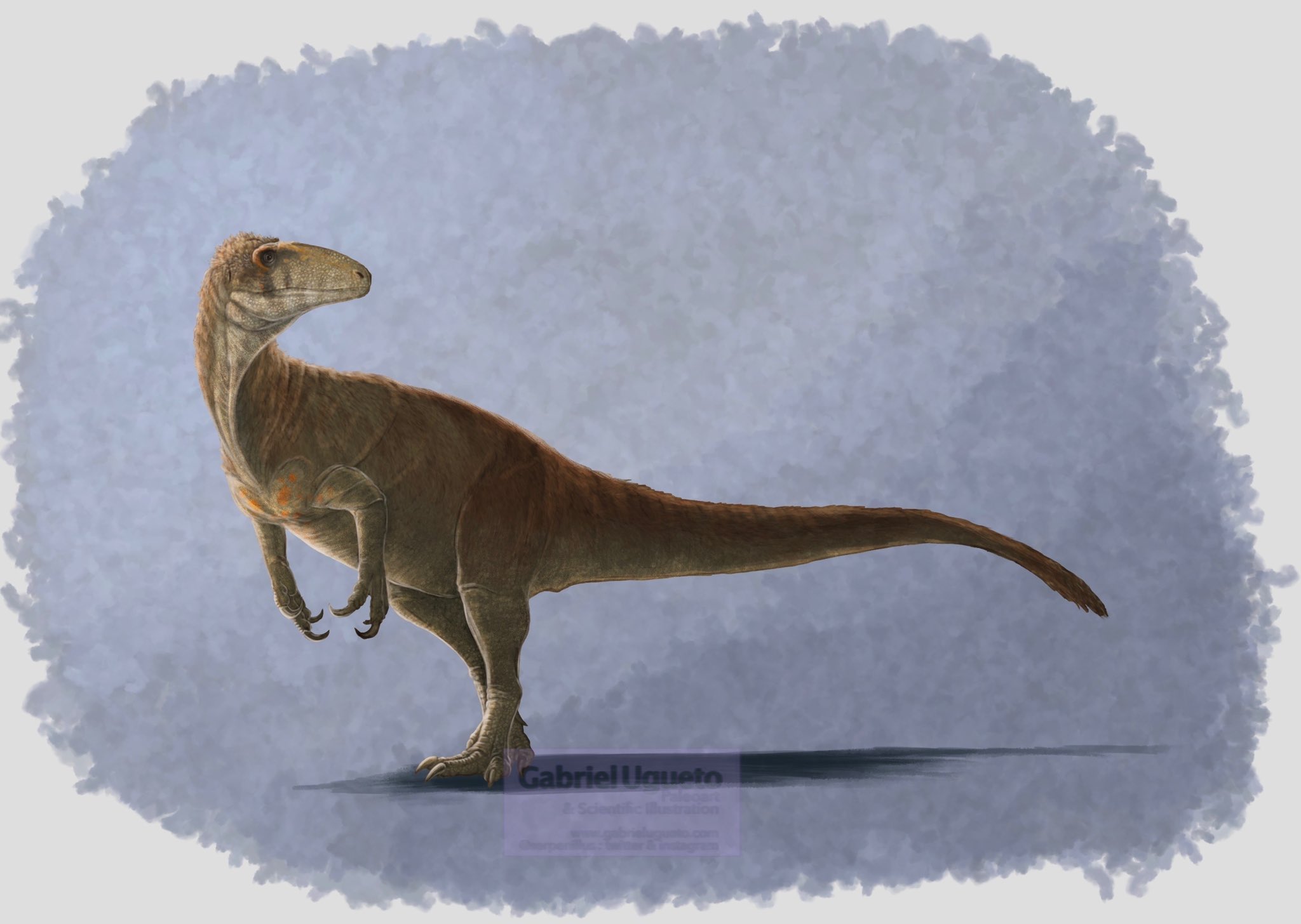 Australovenator Walking With Dinosaurs