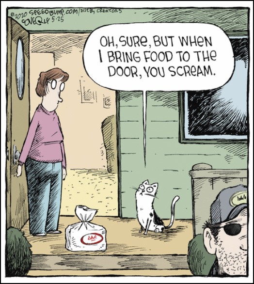 Funny Cartoon Food Jokes