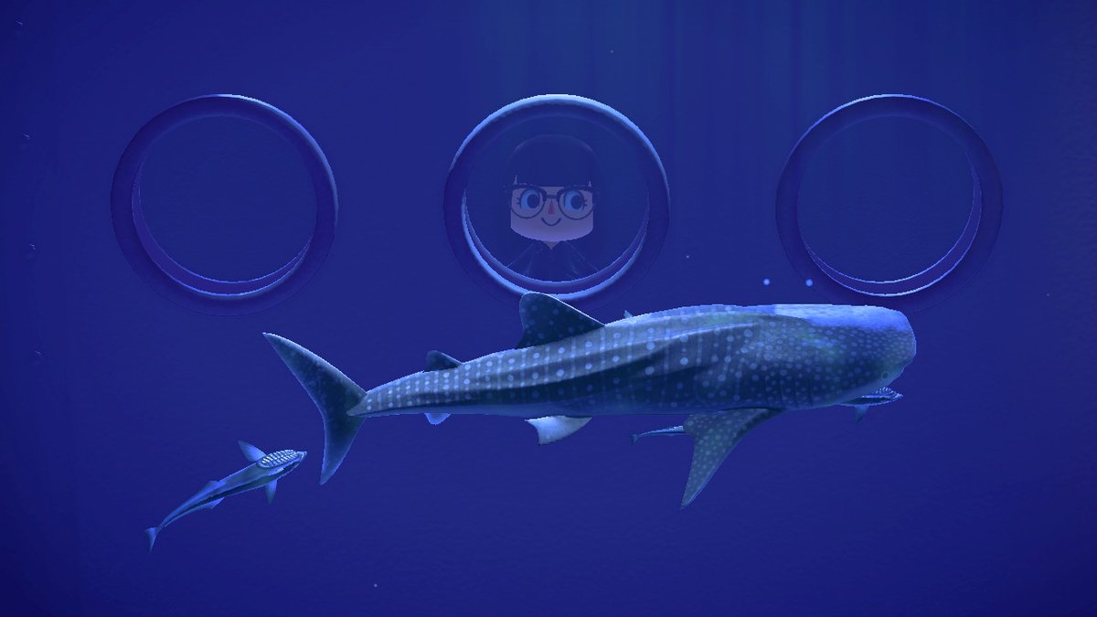 かぴかぴポテト (@kapikapi_2064) | Twitter