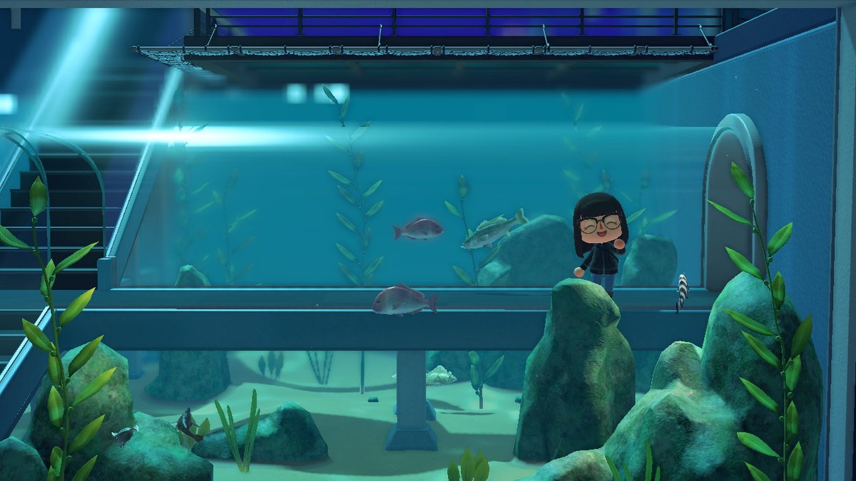 かぴかぴポテト (@kapikapi_2064) | Twitter