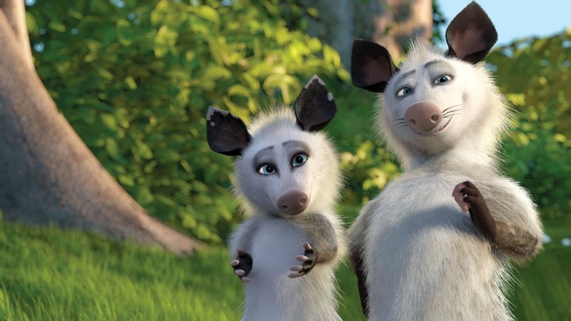 Over The Hedge Possum