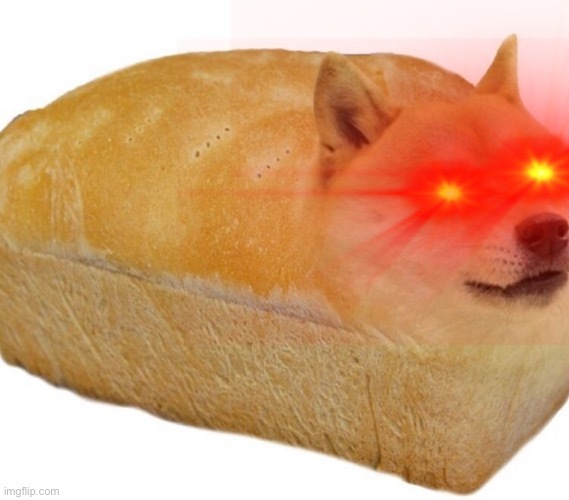 Doge Bread