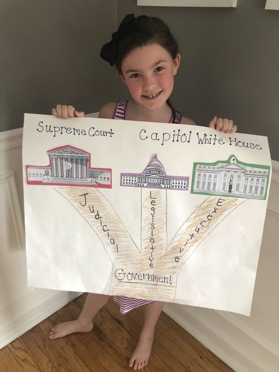 3 Branches Of Government Project