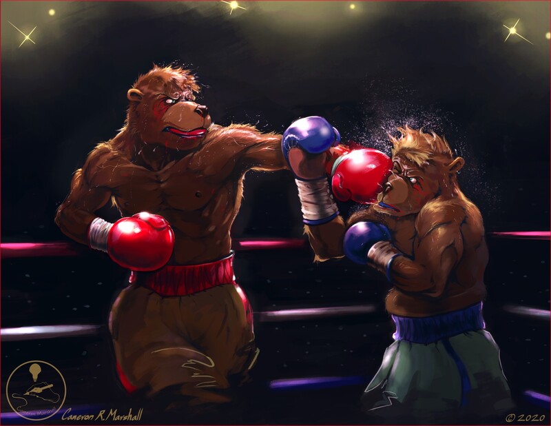 Anthro Polar Bear Boxing