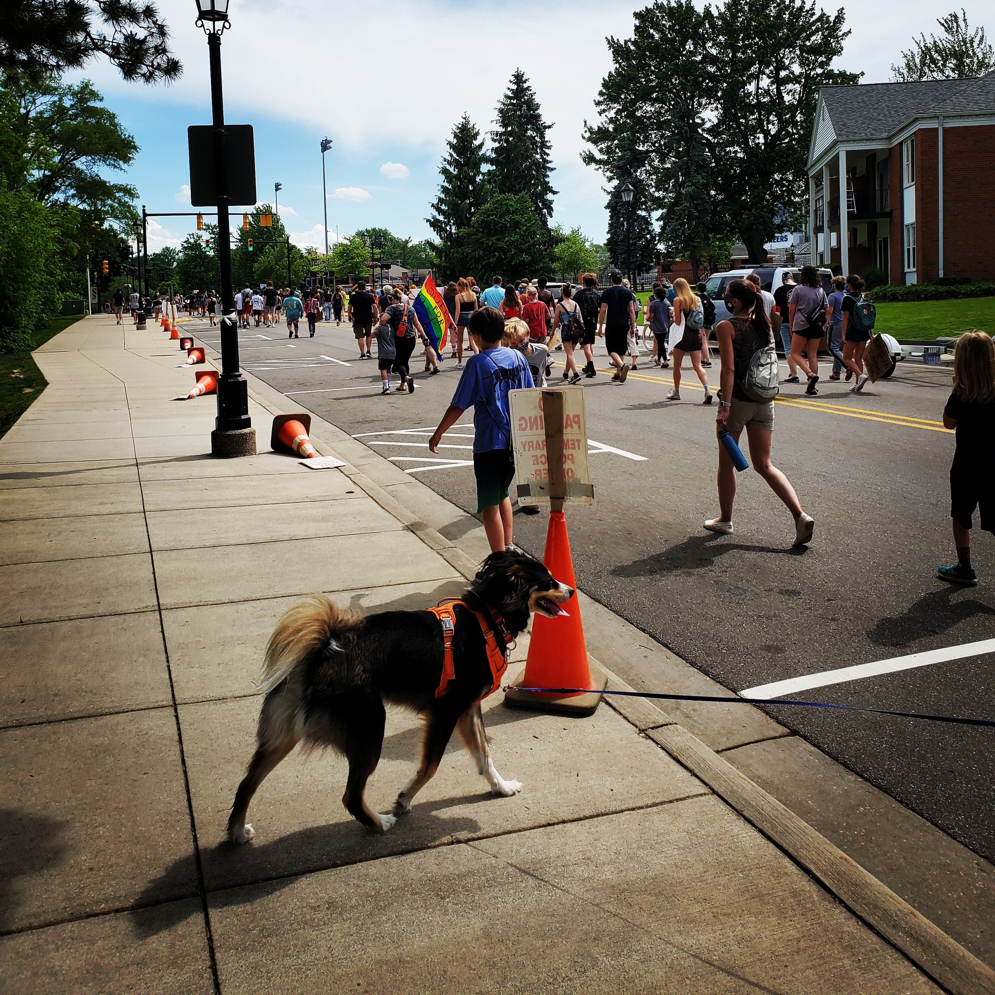 TW Pornstars - Oki Doki!. Twitter. My boy is a freedom pup! #EGR # ...