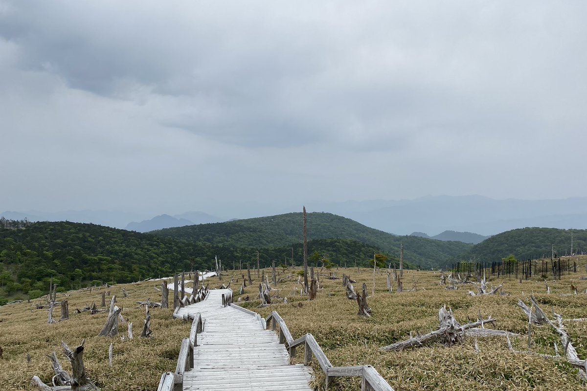 ライデル(@berry_rydell) - Twilog (ツイログ)